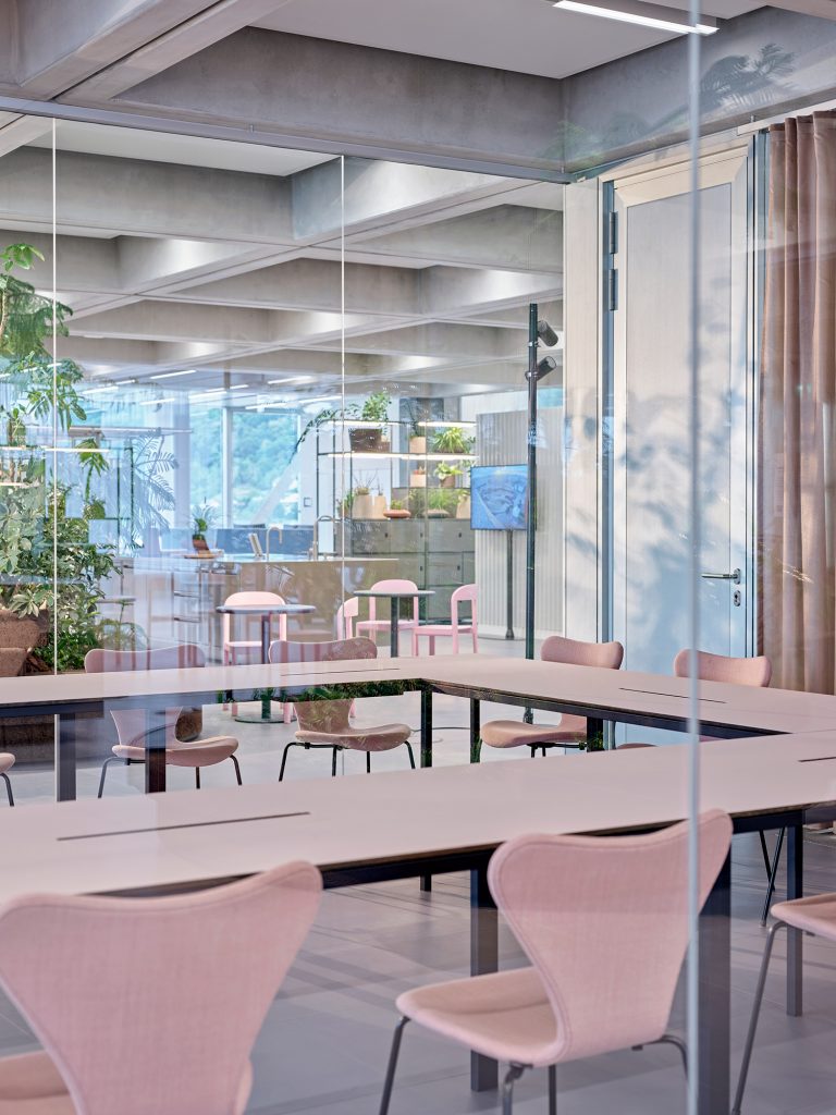 Make your choice - Roche Spaces