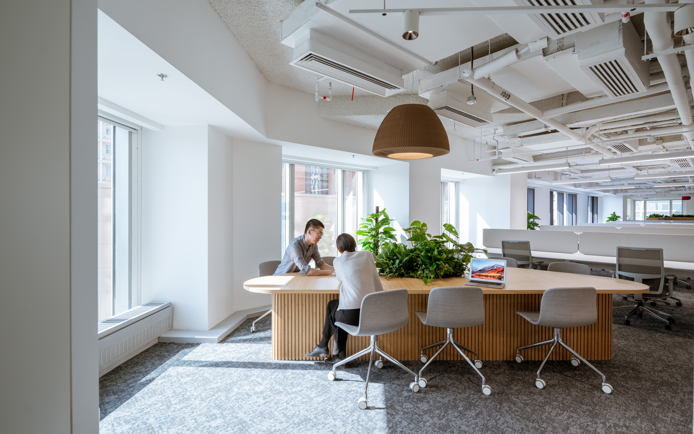 Make your choice - Roche Spaces