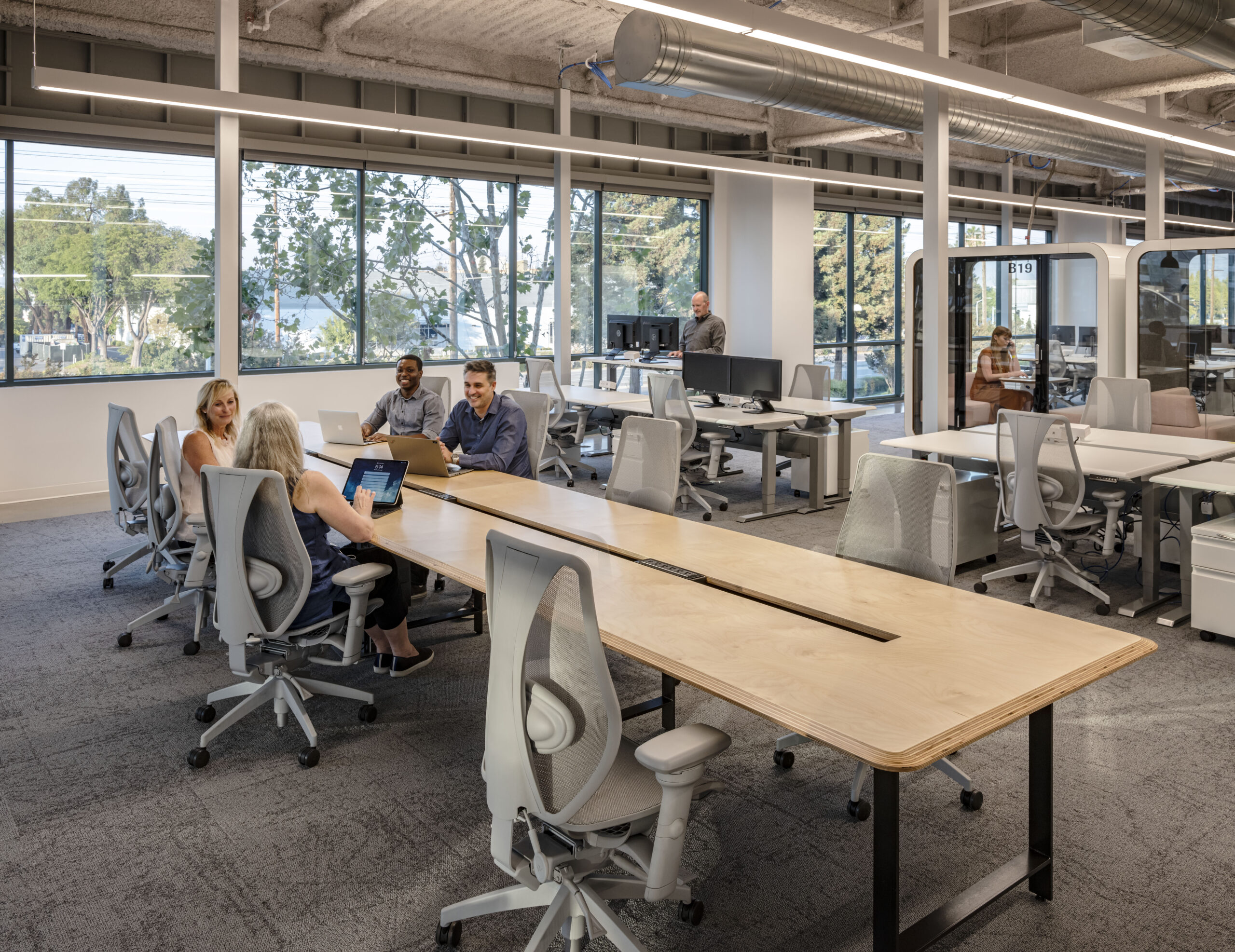 Make your choice - Roche Spaces