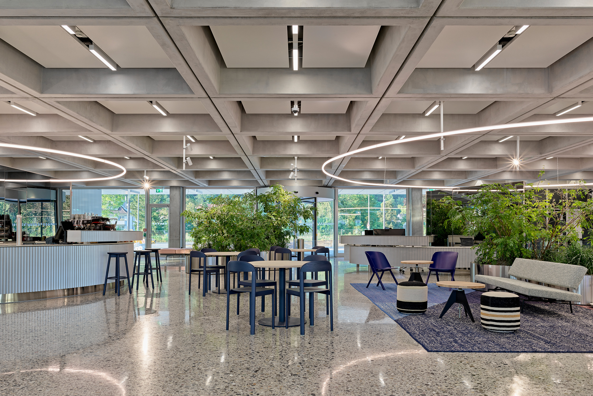 Make your choice - Roche Spaces