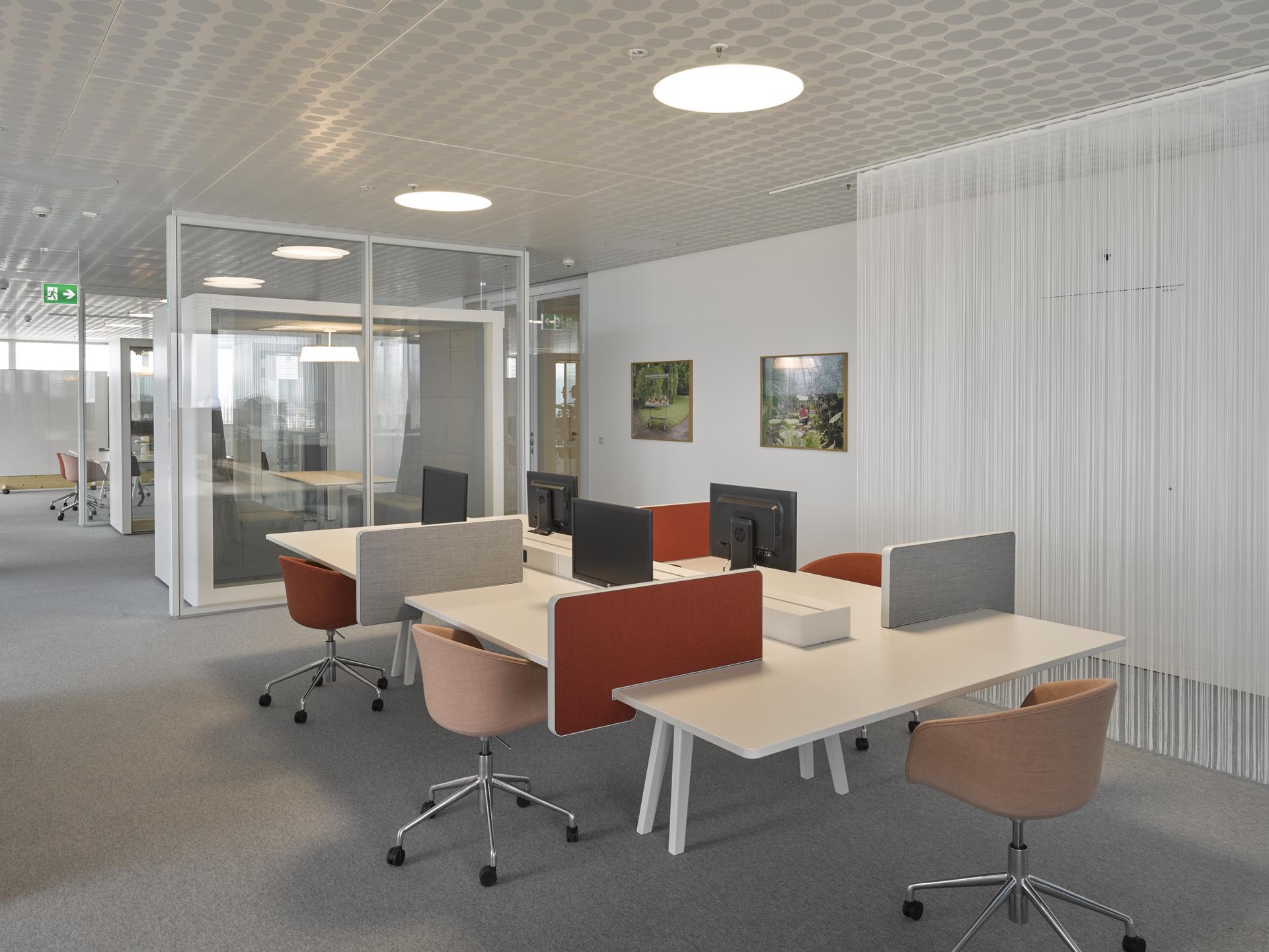 Make your choice - Roche Spaces