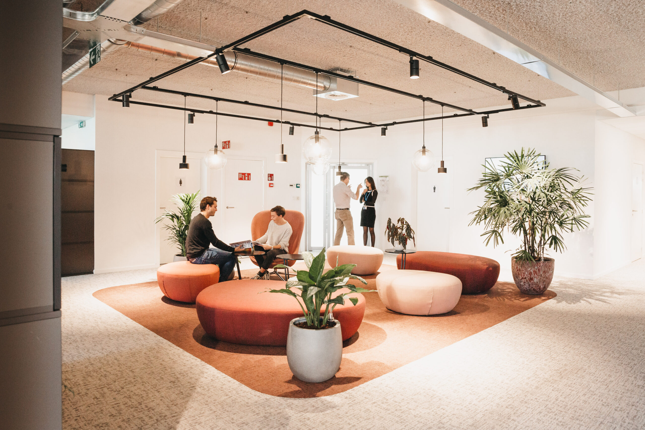 Make your choice - Roche Spaces