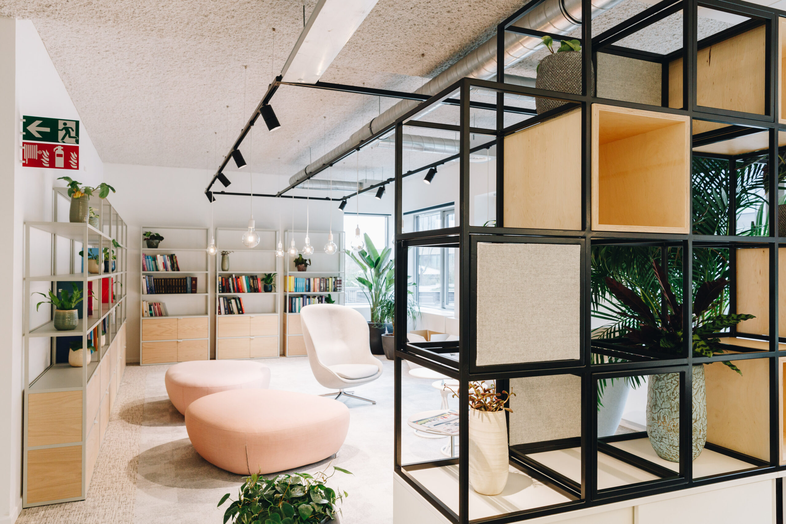 Make your choice - Roche Spaces