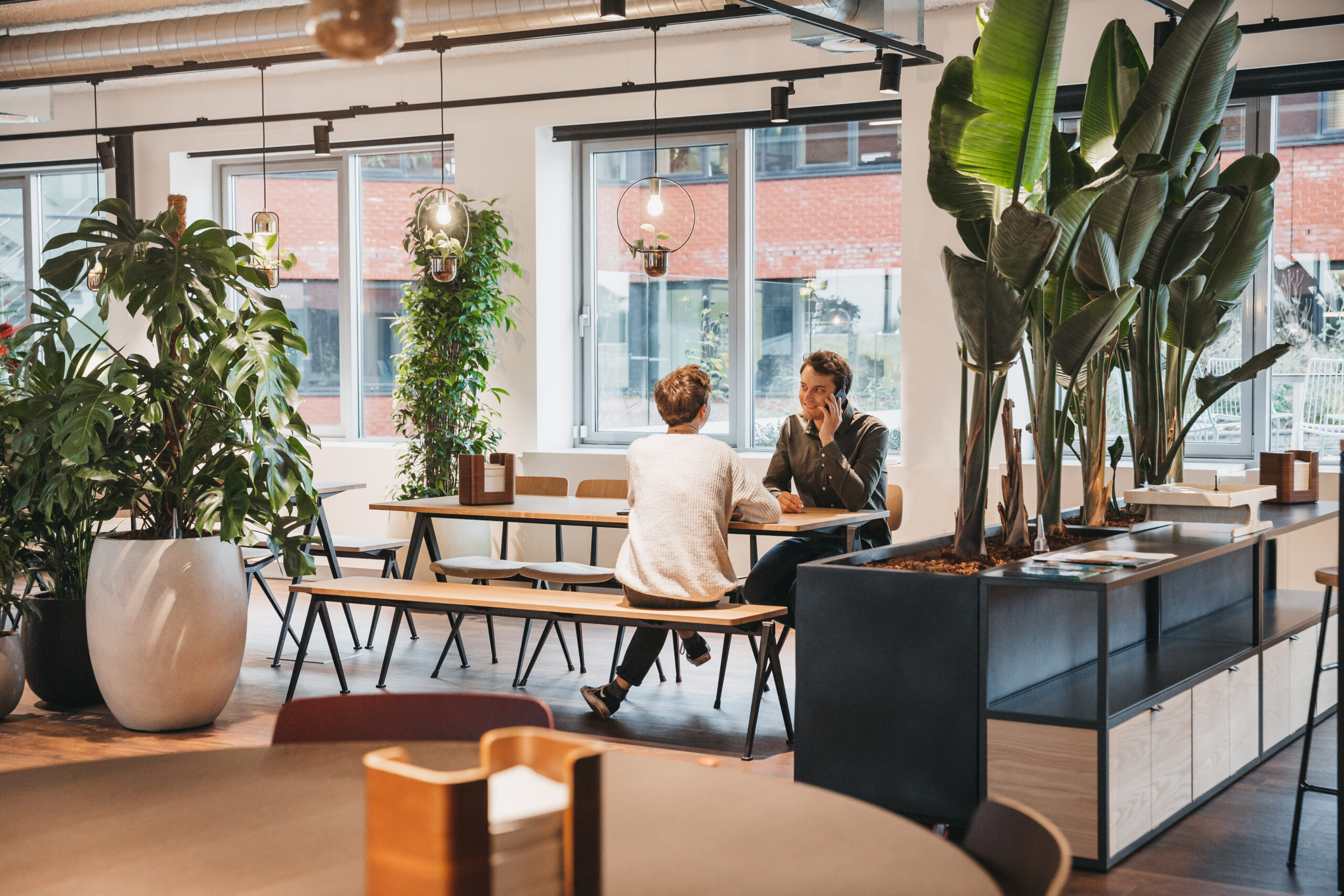 Make your choice - Roche Spaces