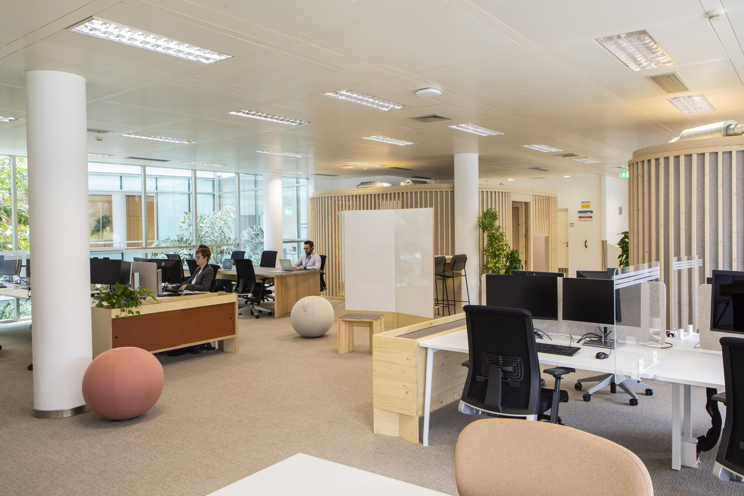 Make your choice - Roche Spaces