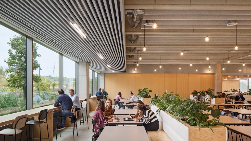 Creating atmospheres - Roche Spaces